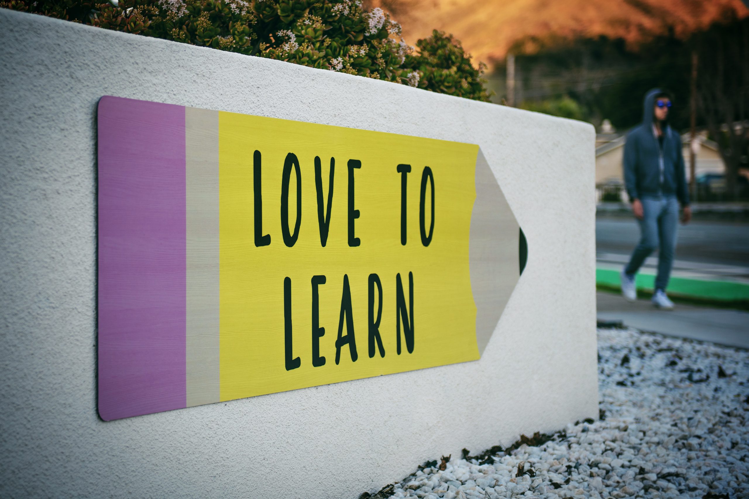 Top 7 Learning Habits That Will Help You Succeed The Bookish Elf Top 7 Learning Habits That Will Help You Succeed The Bookish Elf