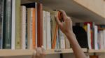 How Organizing Your Bookshelf Transforms Your Reading Life